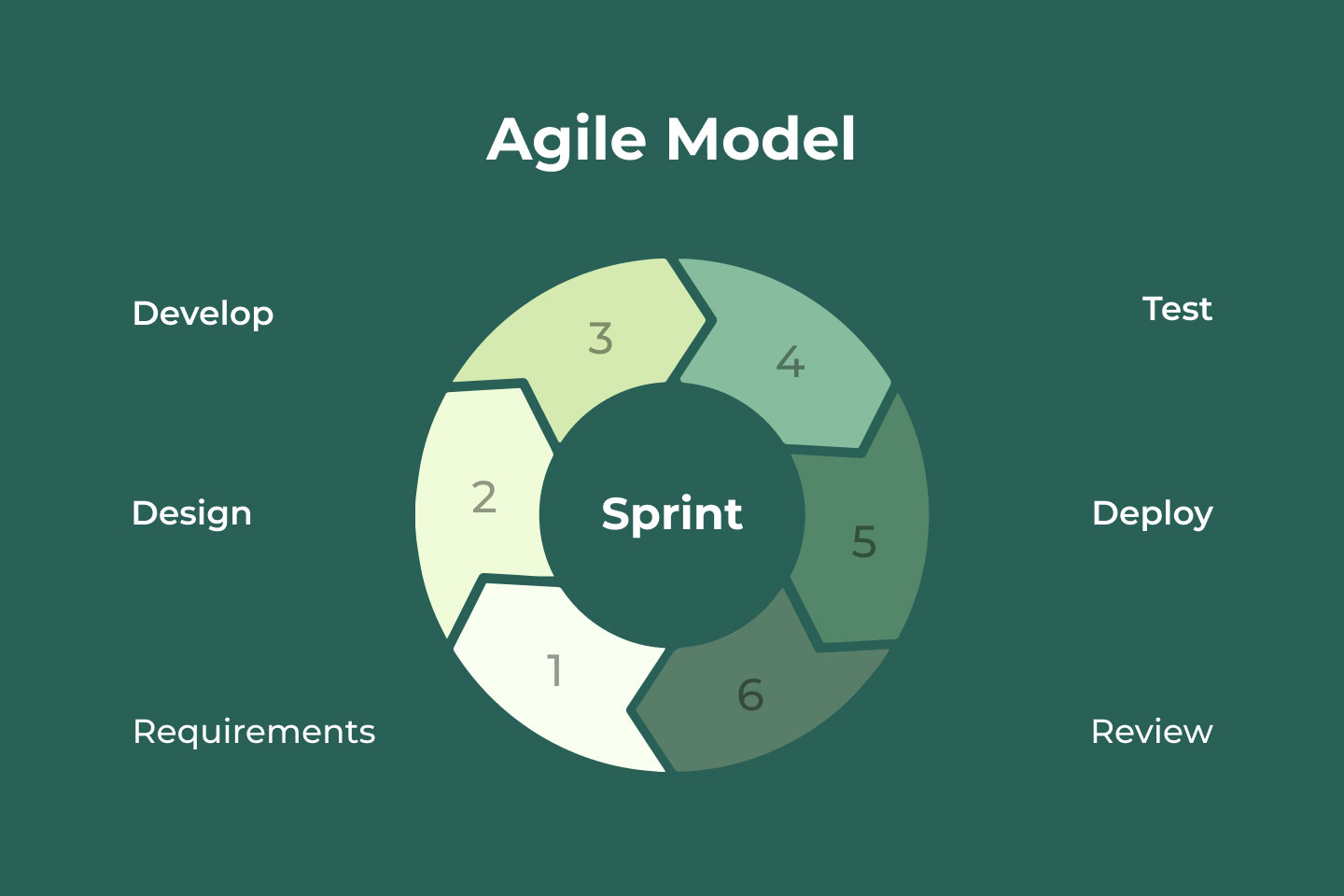 Modelos De Ciclo De Vida De Desarrollo De Software Elegir Una Forma De